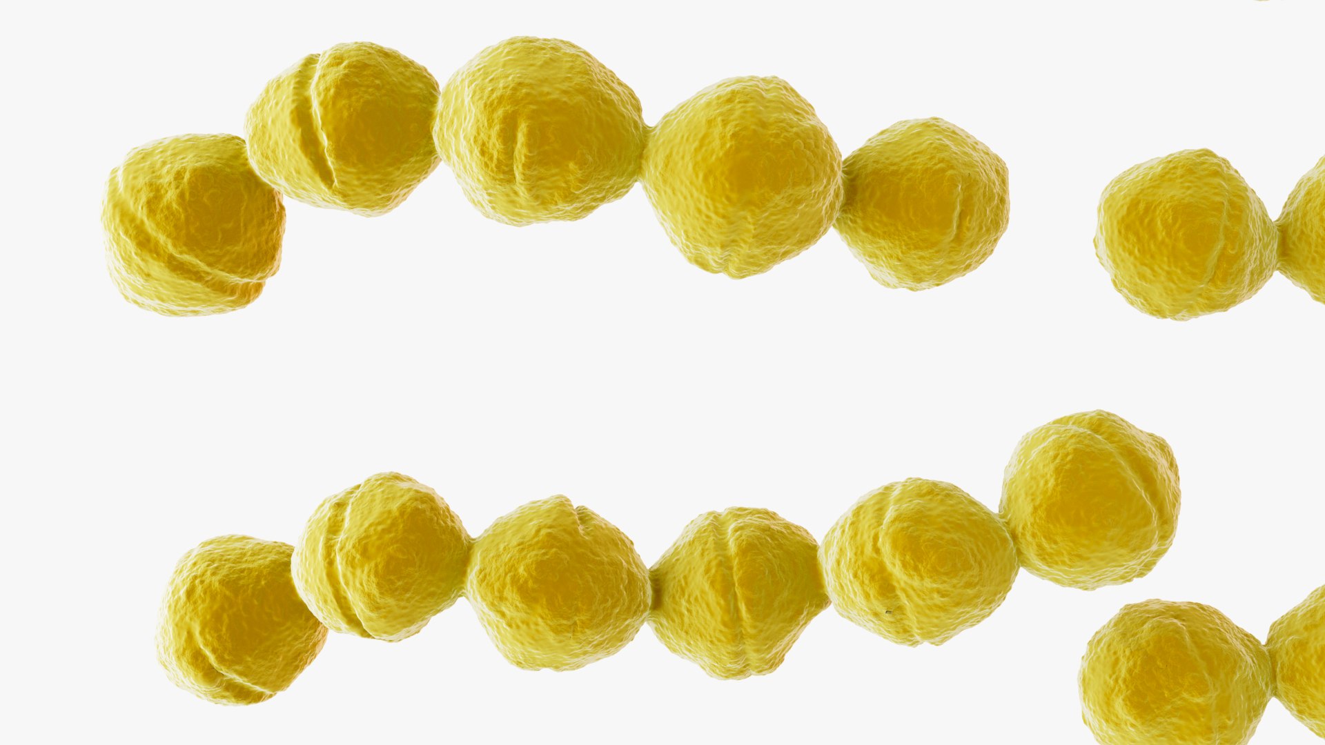 STSS Bacteria 3D - TurboSquid 2245500