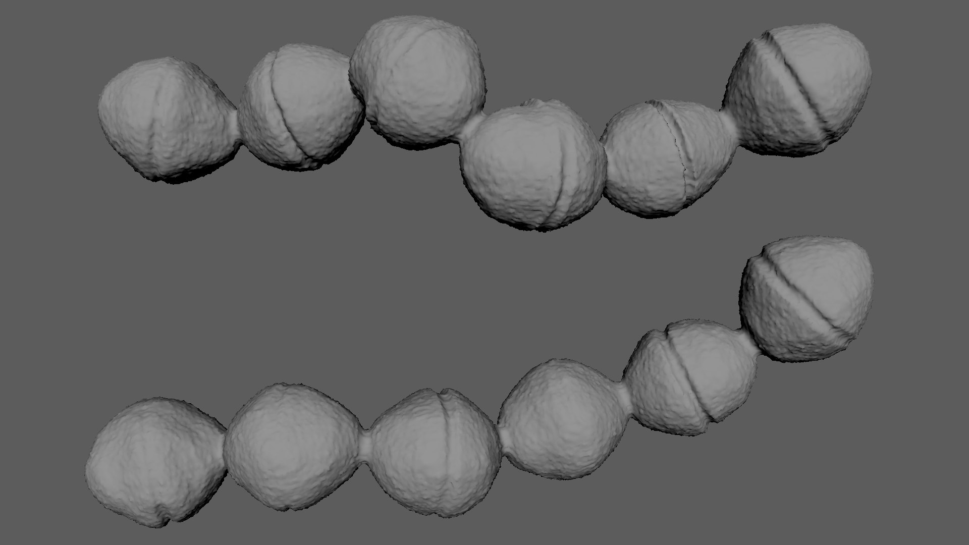 STSS Bacteria 3D - TurboSquid 2245500