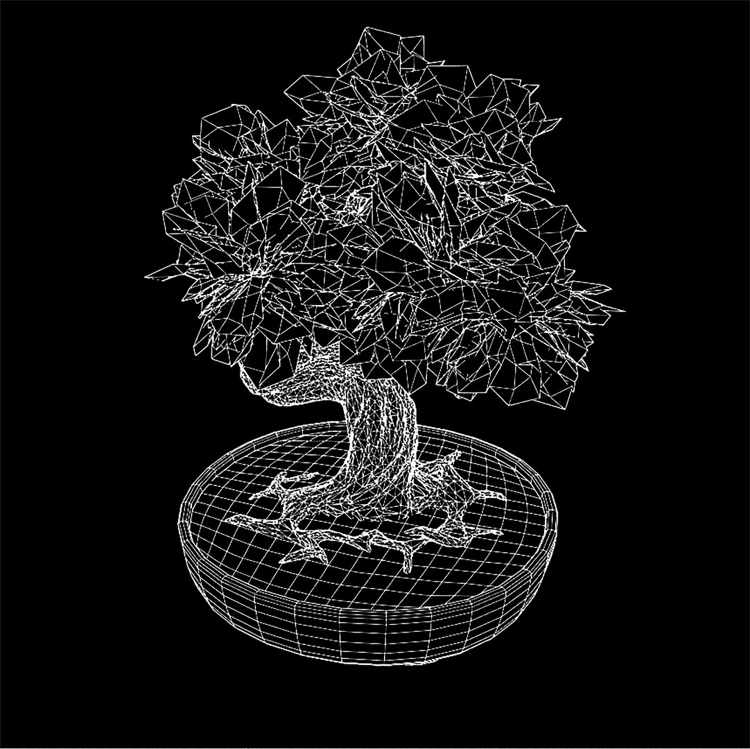 3D Bonsai Game Asset - TurboSquid 1771174