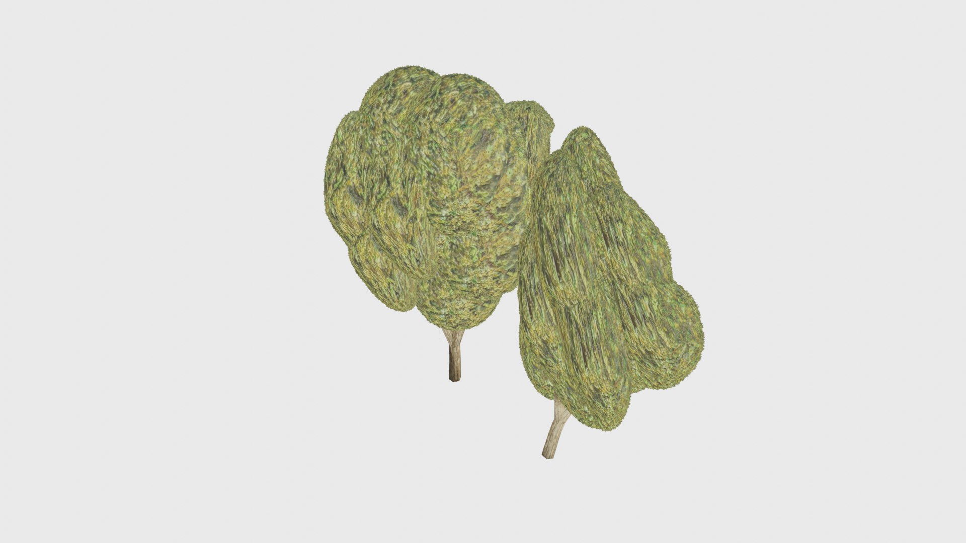 Marijuana 3D model - TurboSquid 1805552
