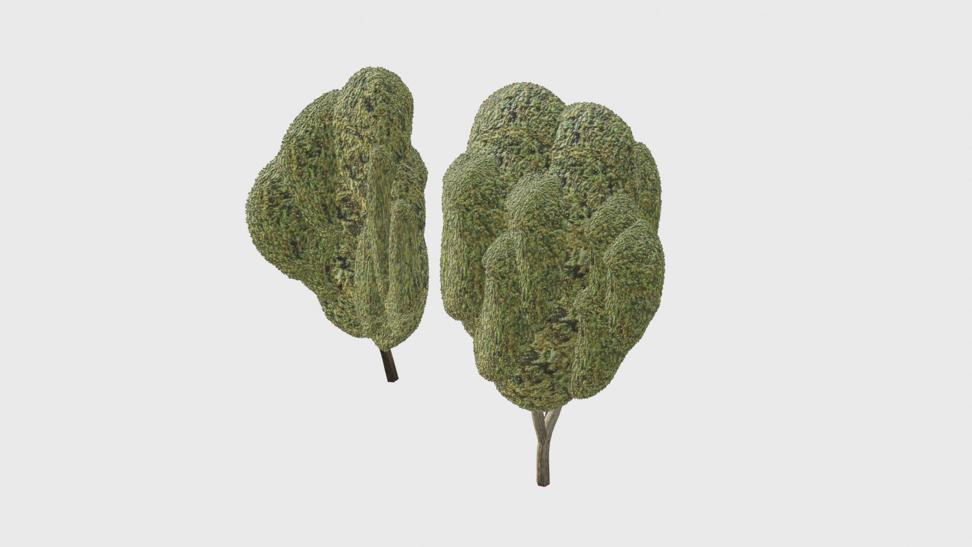 Marijuana 3D model - TurboSquid 1805552