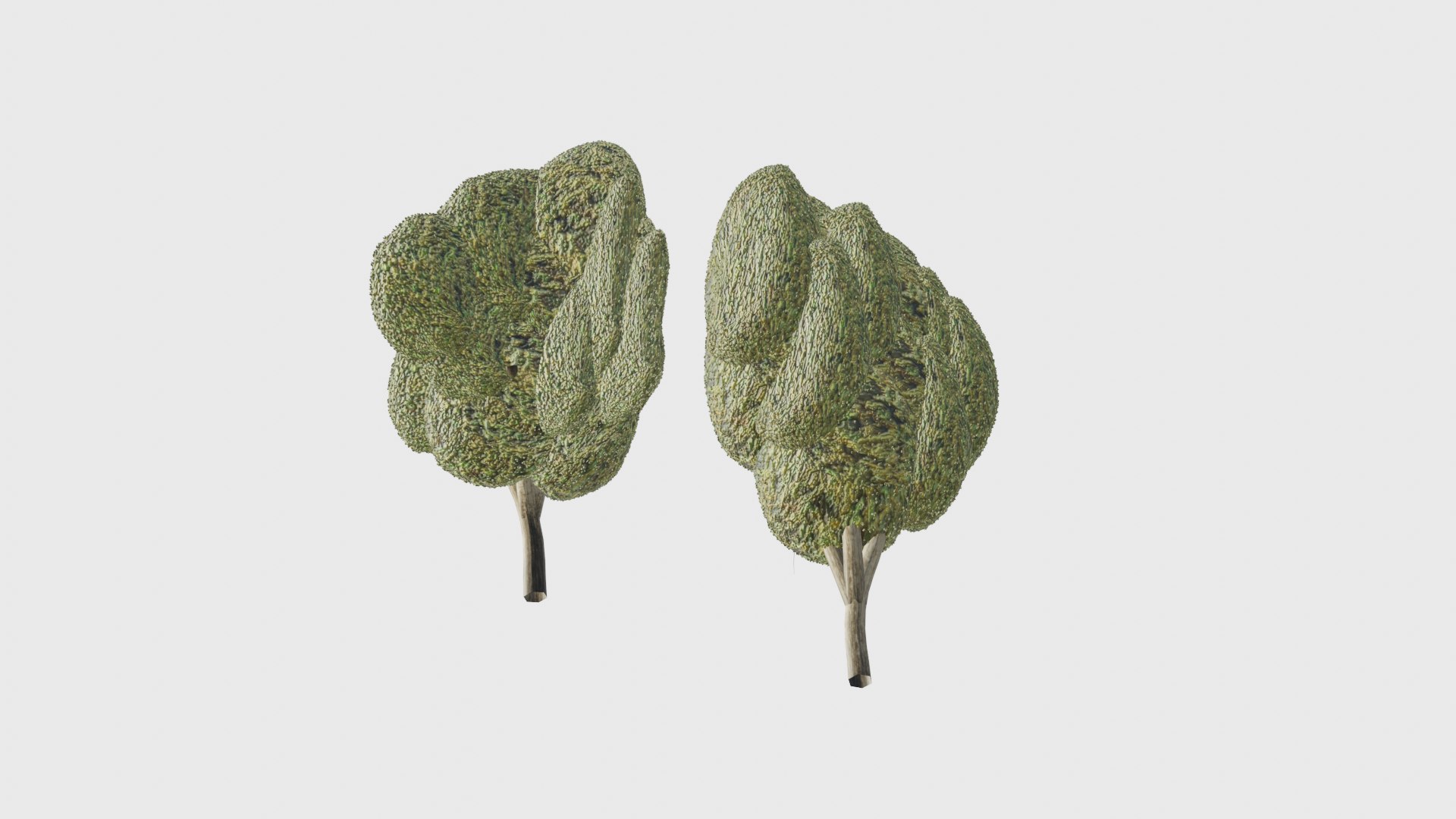 Marijuana 3D model - TurboSquid 1805552