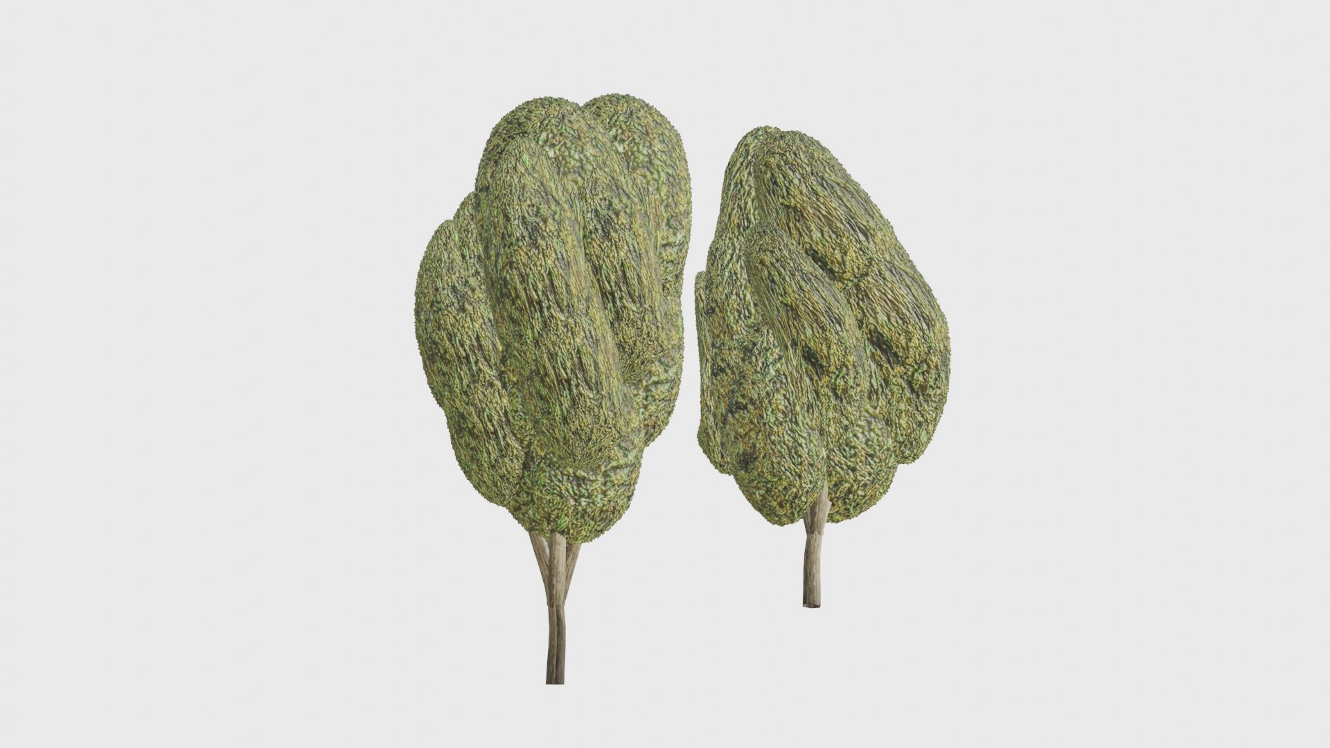 Marijuana 3D model - TurboSquid 1805552