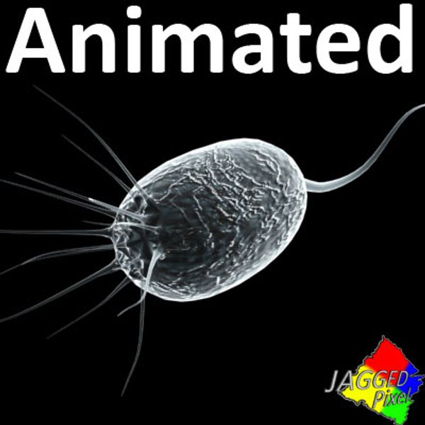 Flagellum 3D Models for Download | TurboSquid