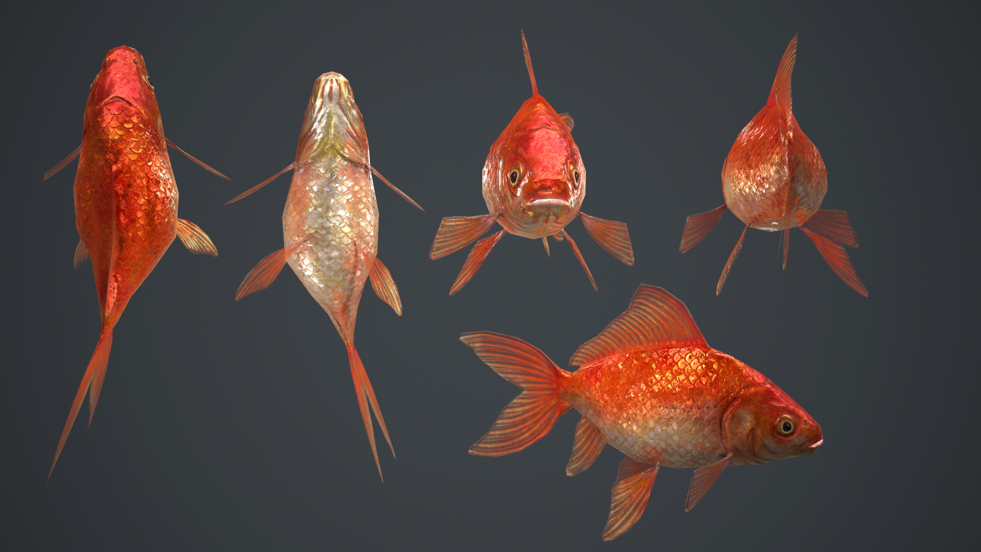 3D Model Goldfish Pbr Ready Context - TurboSquid 1630615
