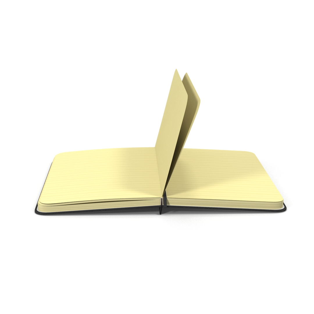 Open Journal 2 3d 3ds