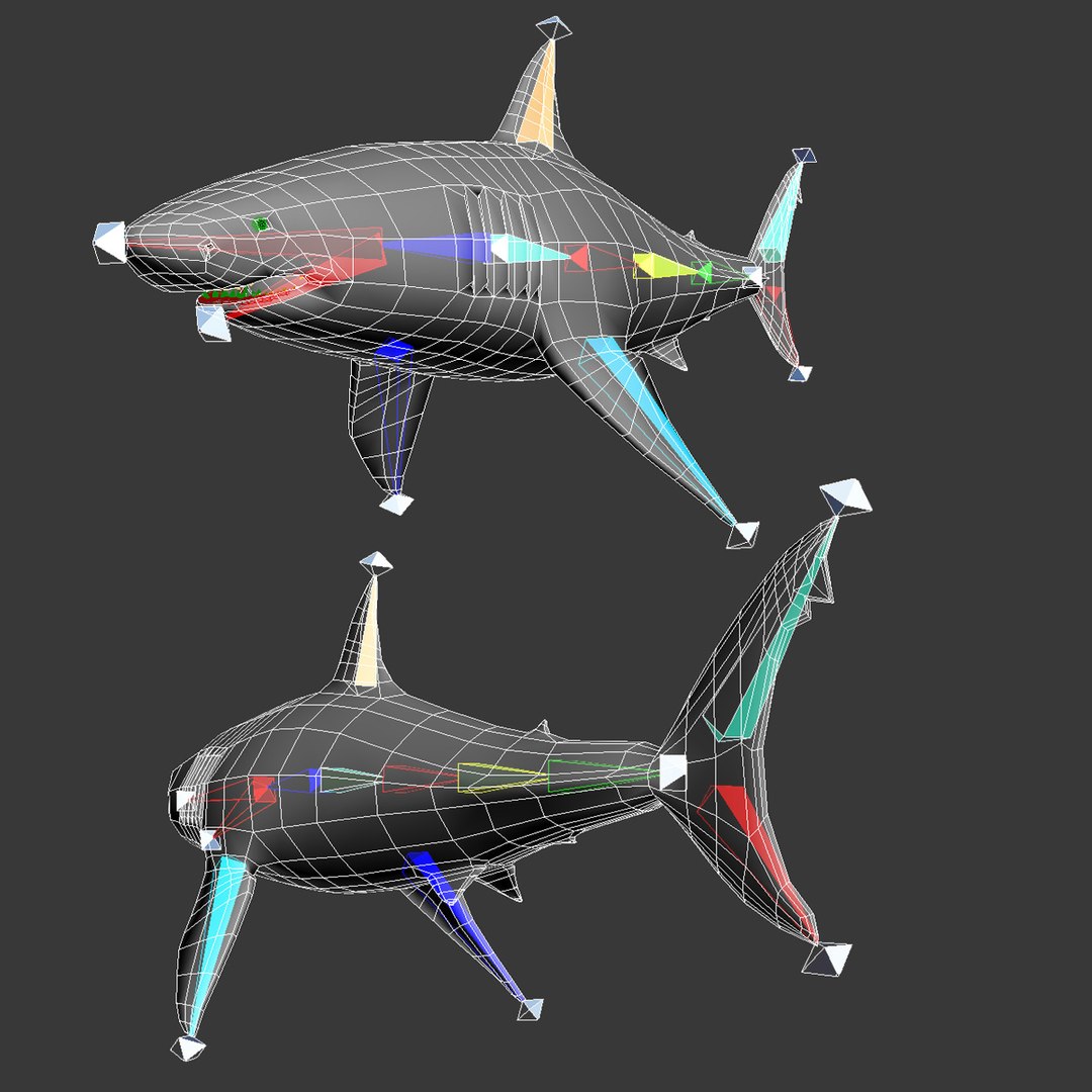 Max Great White Shark