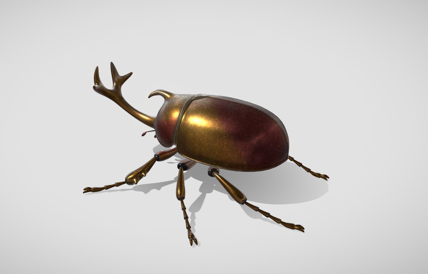 3D beetle model - TurboSquid 1897111