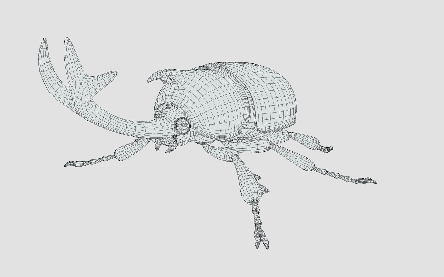 3D beetle model - TurboSquid 1897111