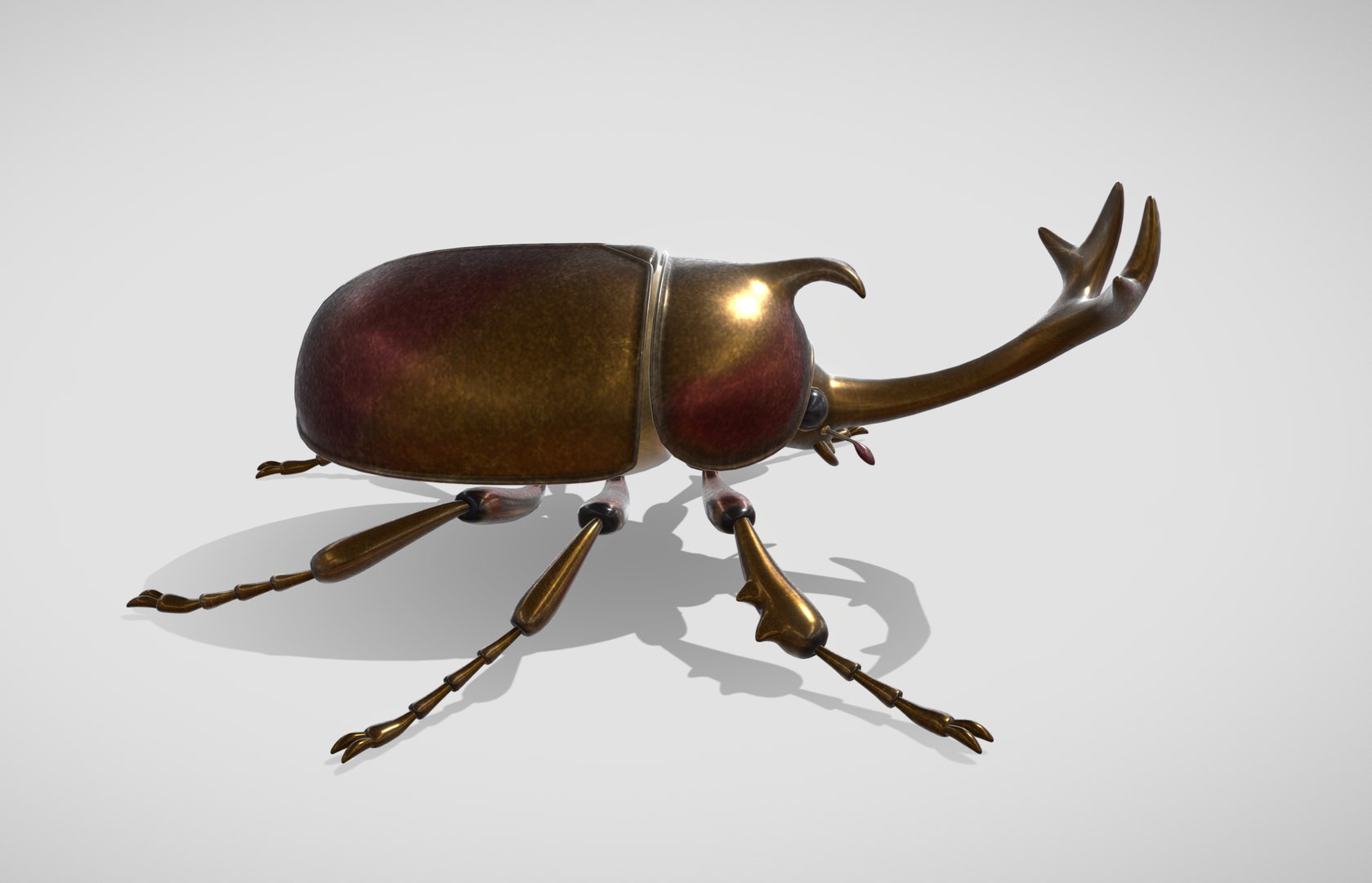 3D beetle model - TurboSquid 1897111