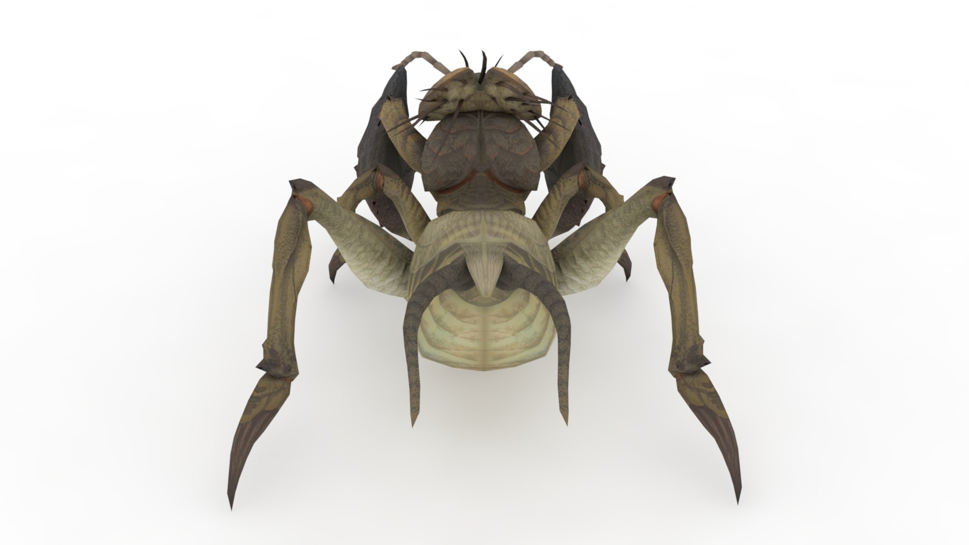 Spider Monster 3D Model - TurboSquid 1926991