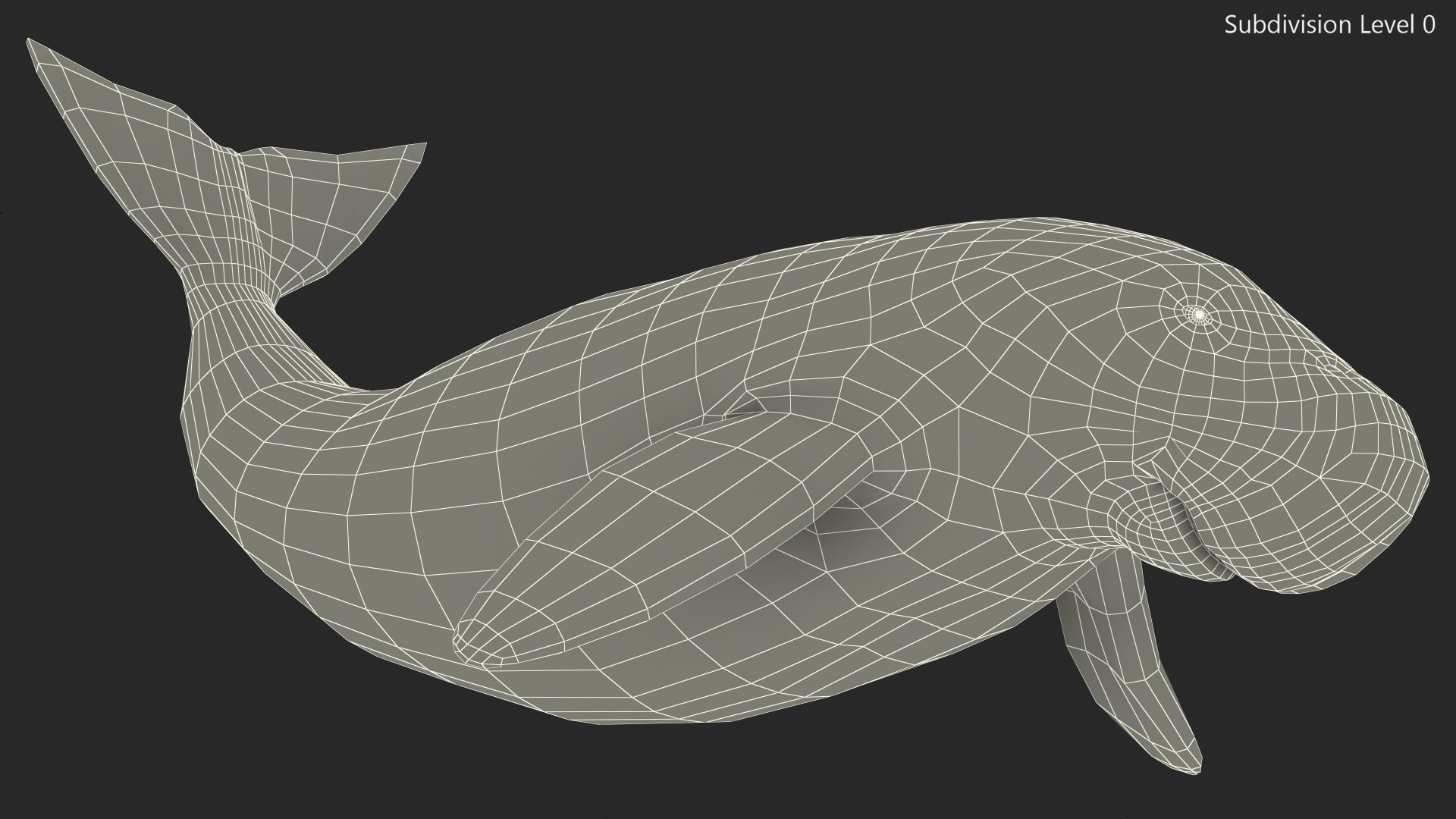 3D dugong playful pose - TurboSquid 1518990