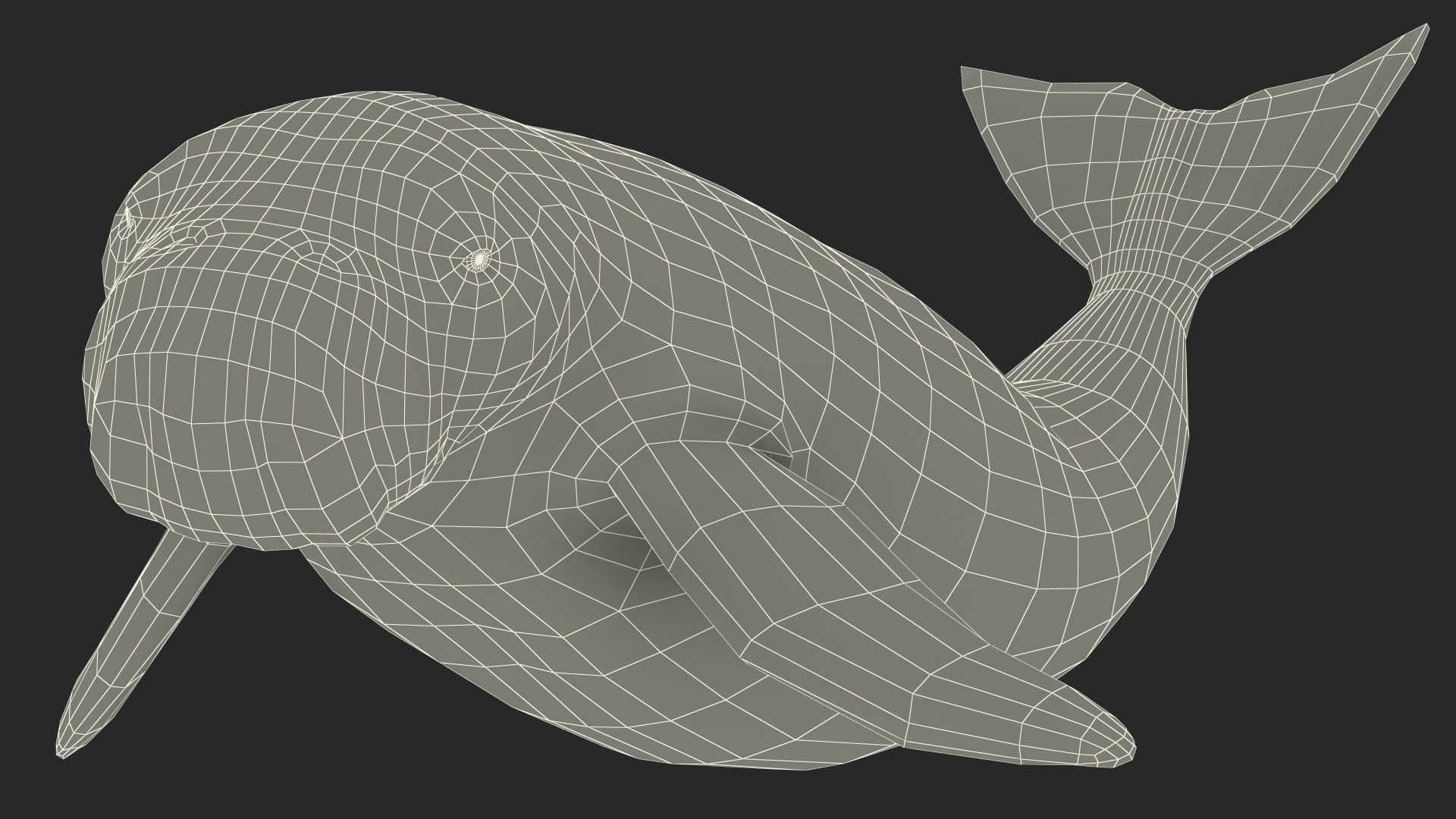 3D dugong playful pose - TurboSquid 1518990