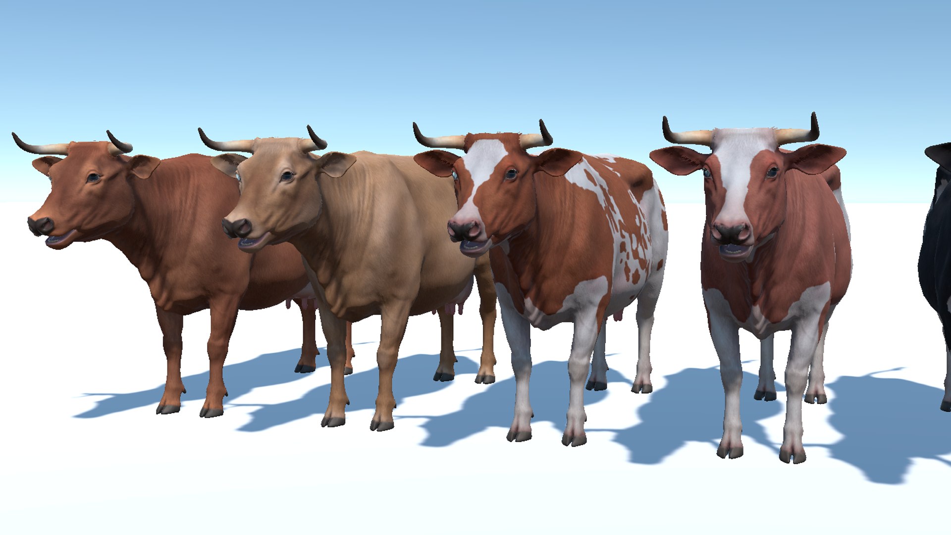 Cow Animations 3D Model - TurboSquid 1636028