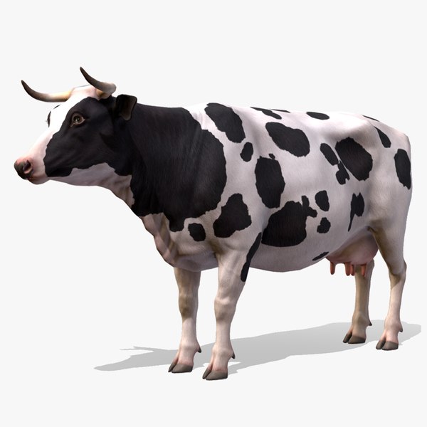 Free 3D Cow Models | TurboSquid