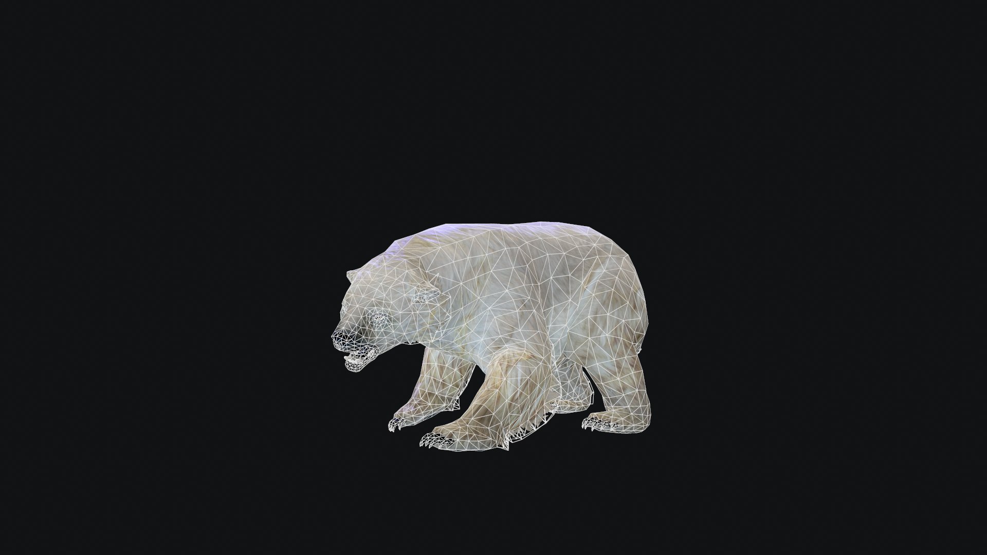 3D Polar Bear Animation - TurboSquid 2010838