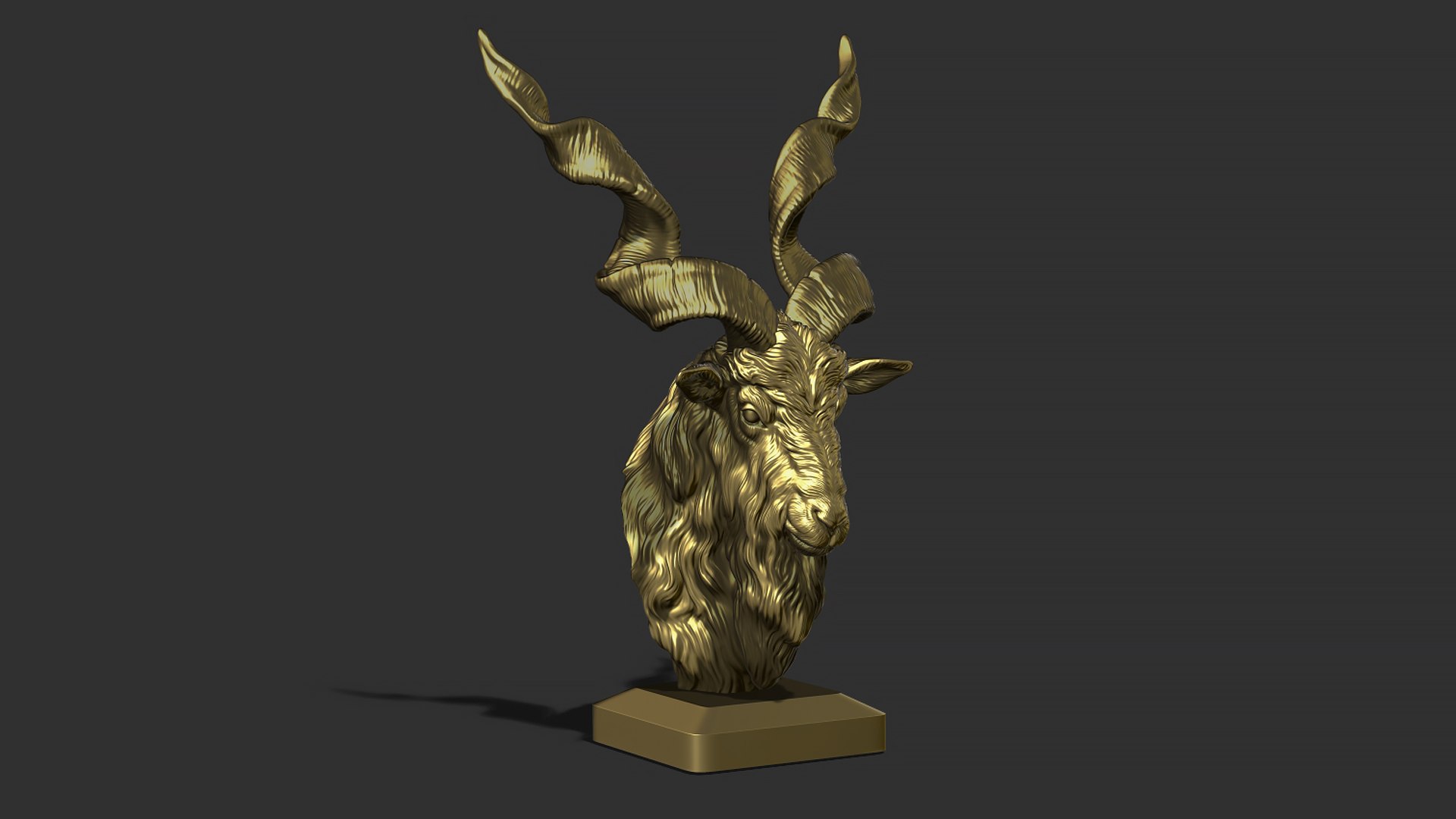 Markhor Goat Head Model - TurboSquid 2071679