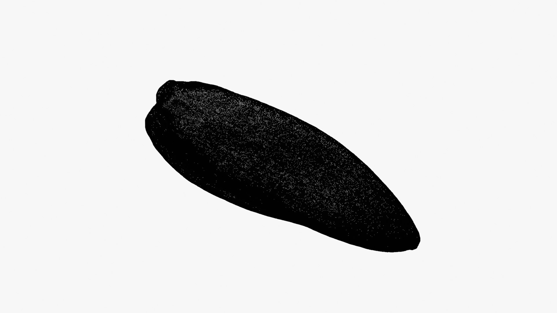 Sunflower Seed 03 - For 3D Print 3D Model - TurboSquid 2496857