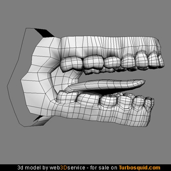 modelo 3d Boca modelo 3d interior - TurboSquid 260525