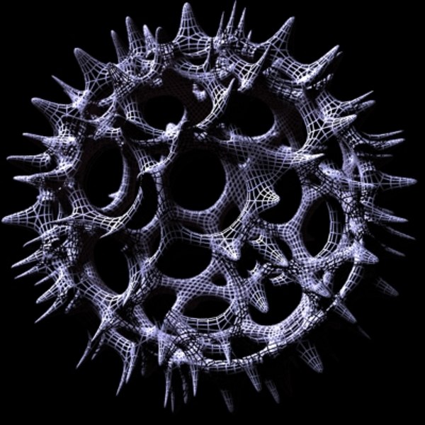 maya radiolarians science