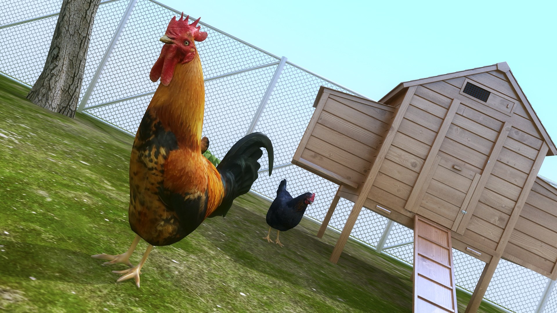 3D Model Chicken Small Farm - TurboSquid 1660117