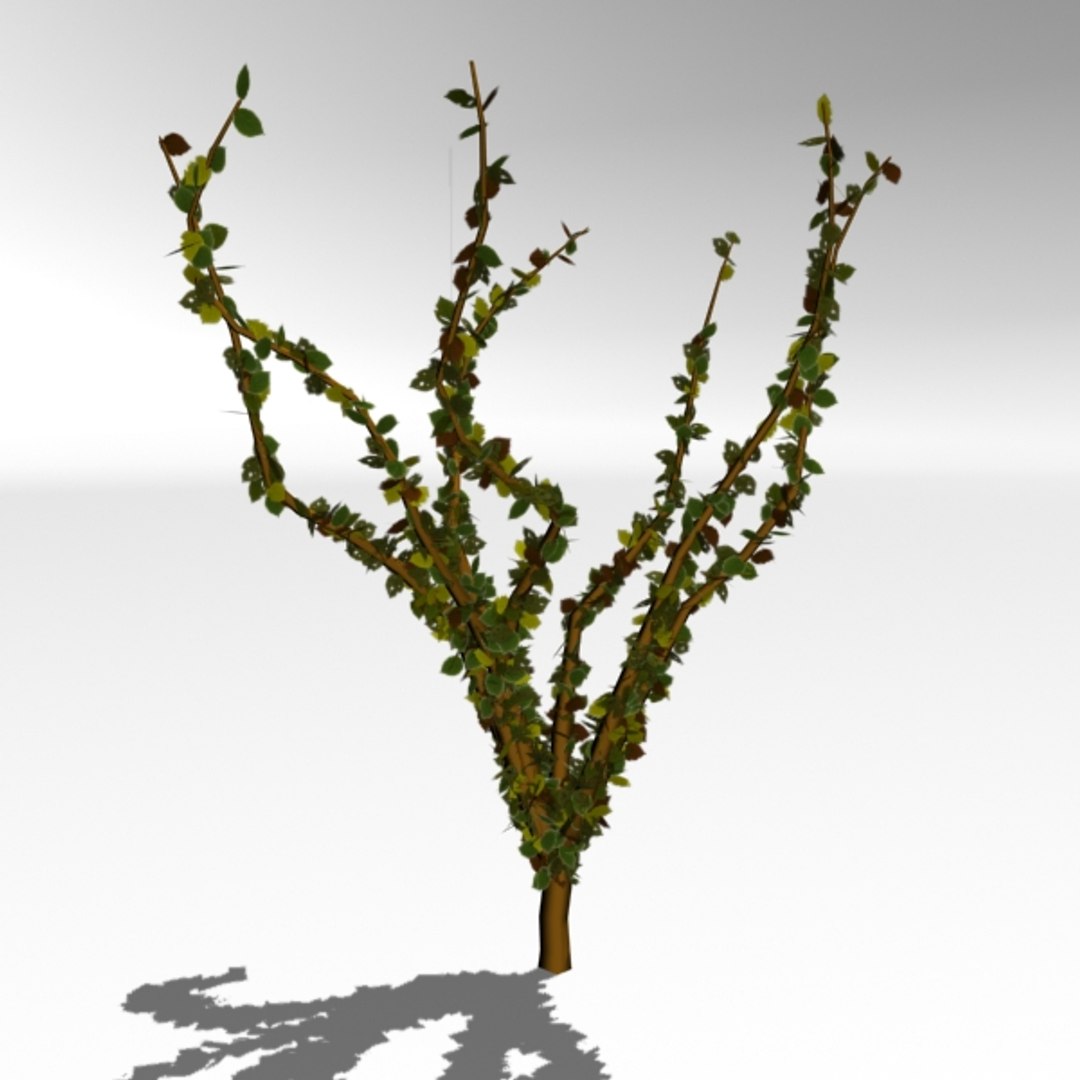 Animation Leaves Fall Tree 3d Model