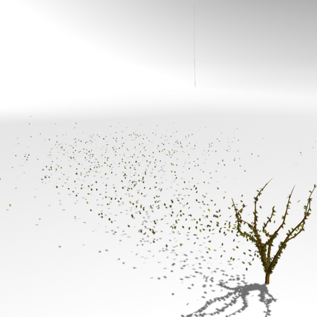 Animation Leaves Fall Tree 3d Model