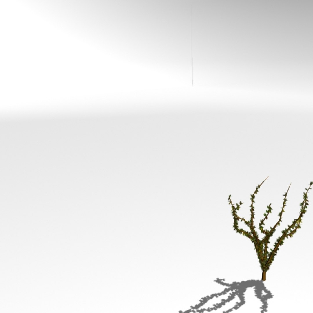 Animation Leaves Fall Tree 3d Model