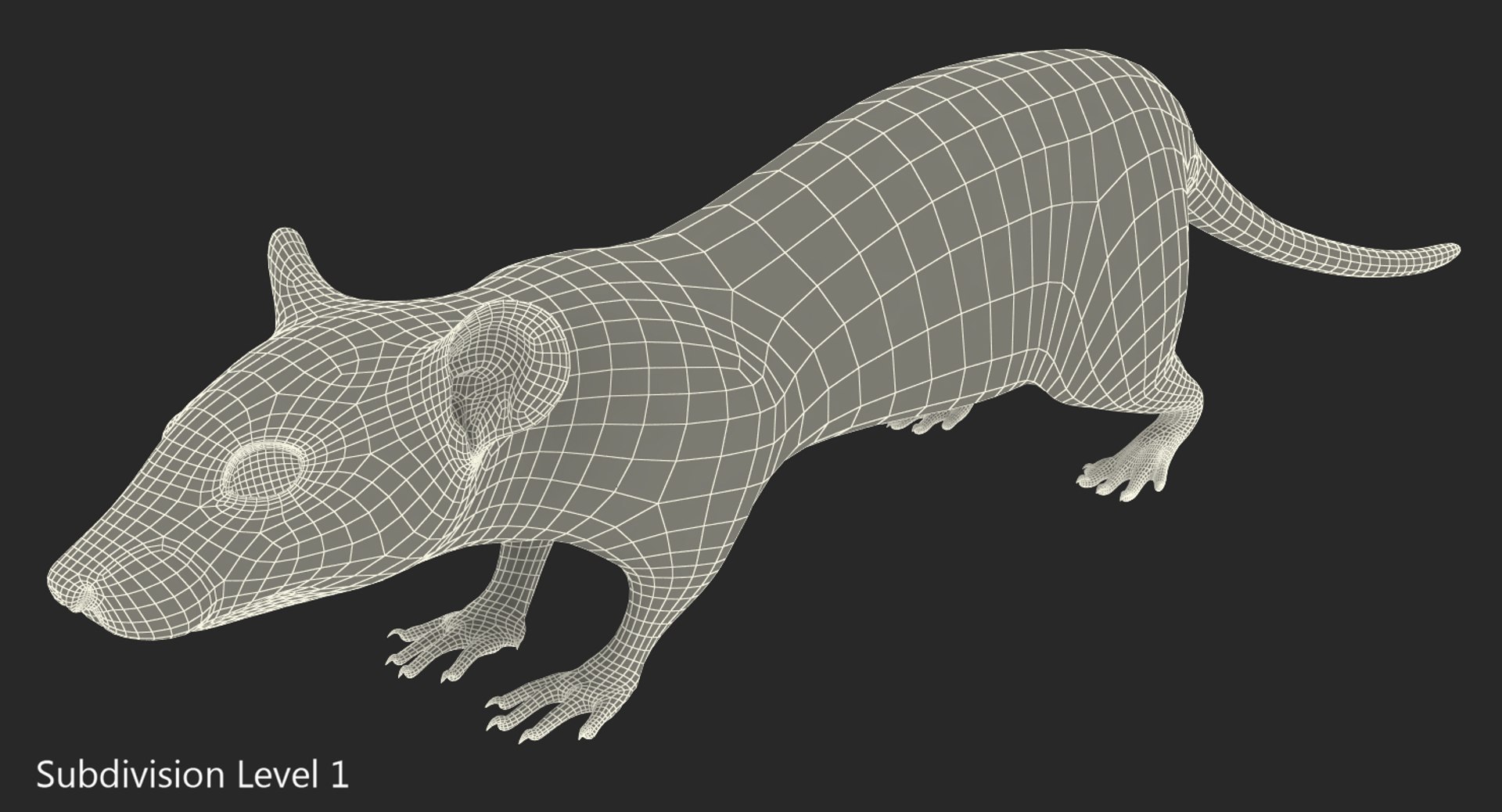 3D Rat Rigged - TurboSquid 1178953