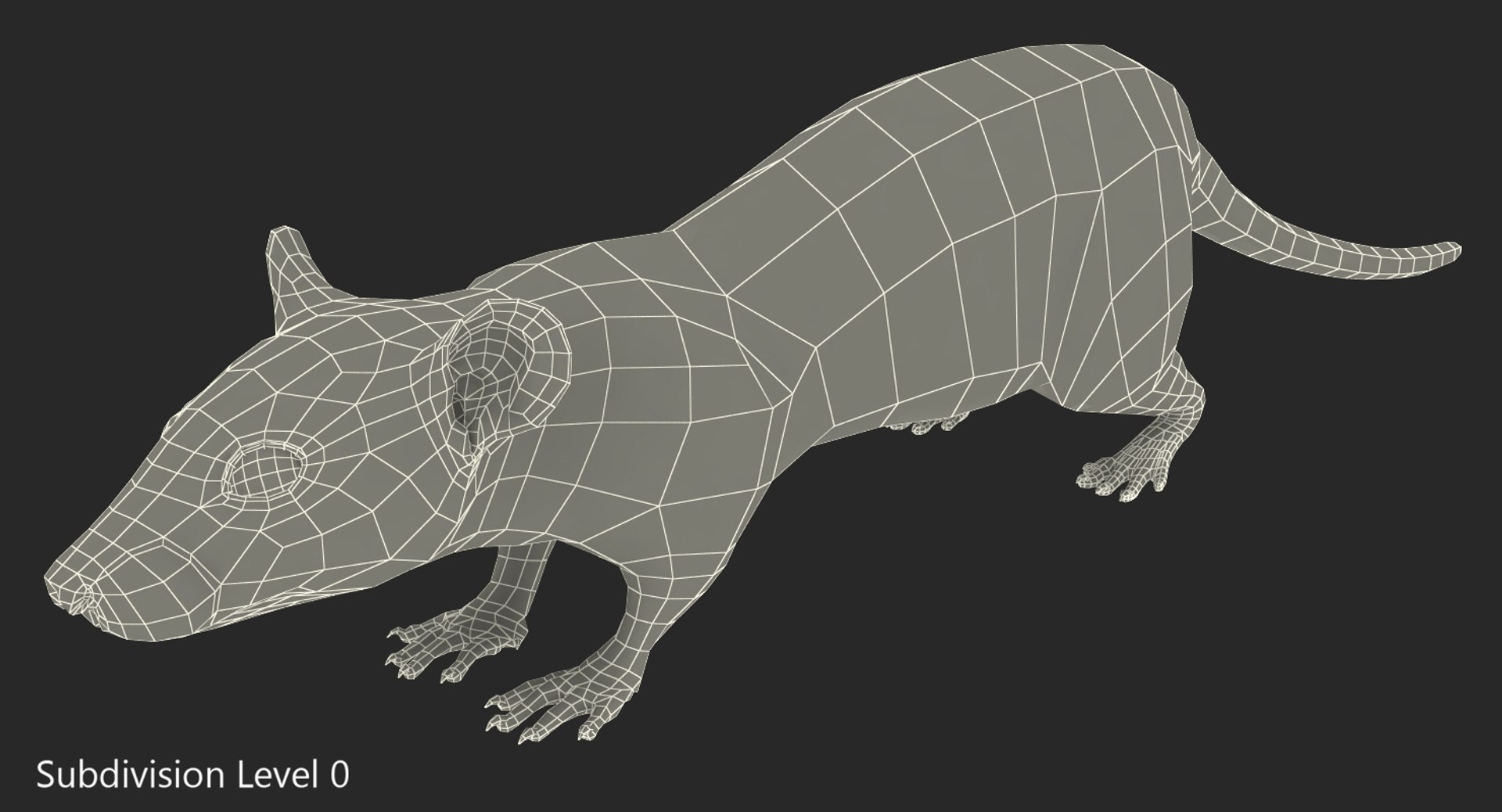 3D Rat Rigged - TurboSquid 1178953