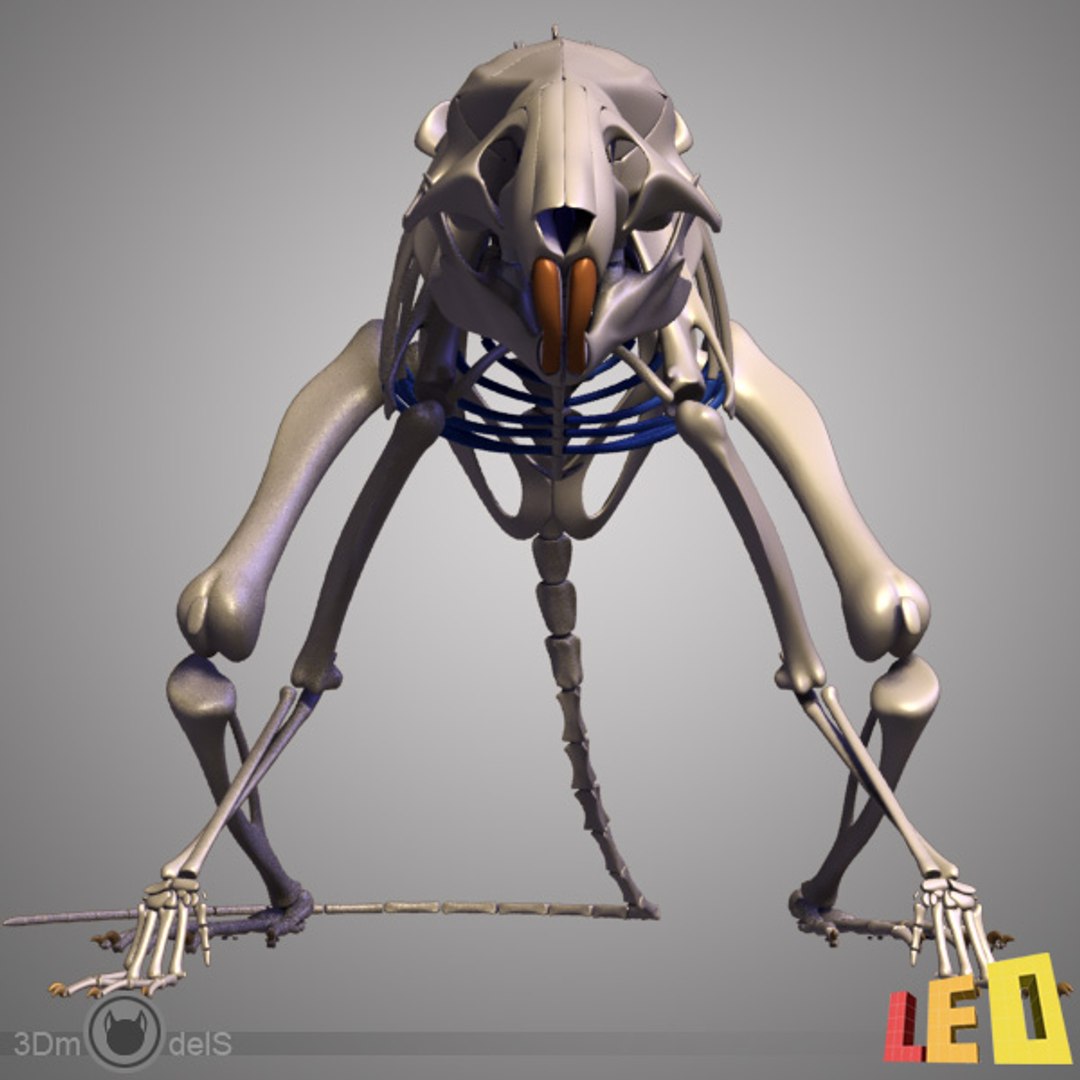 3d Rat Skeleton Separated Bones Model