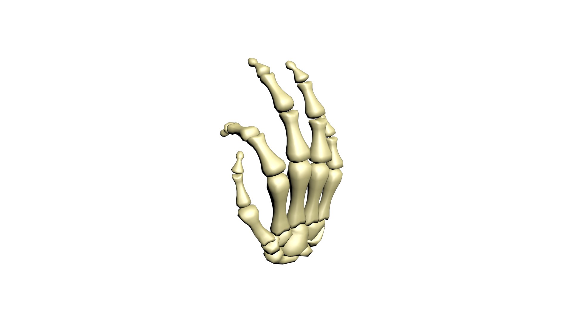Realistic Rigged Skeleton Hand 3D Model - TurboSquid 2426853
