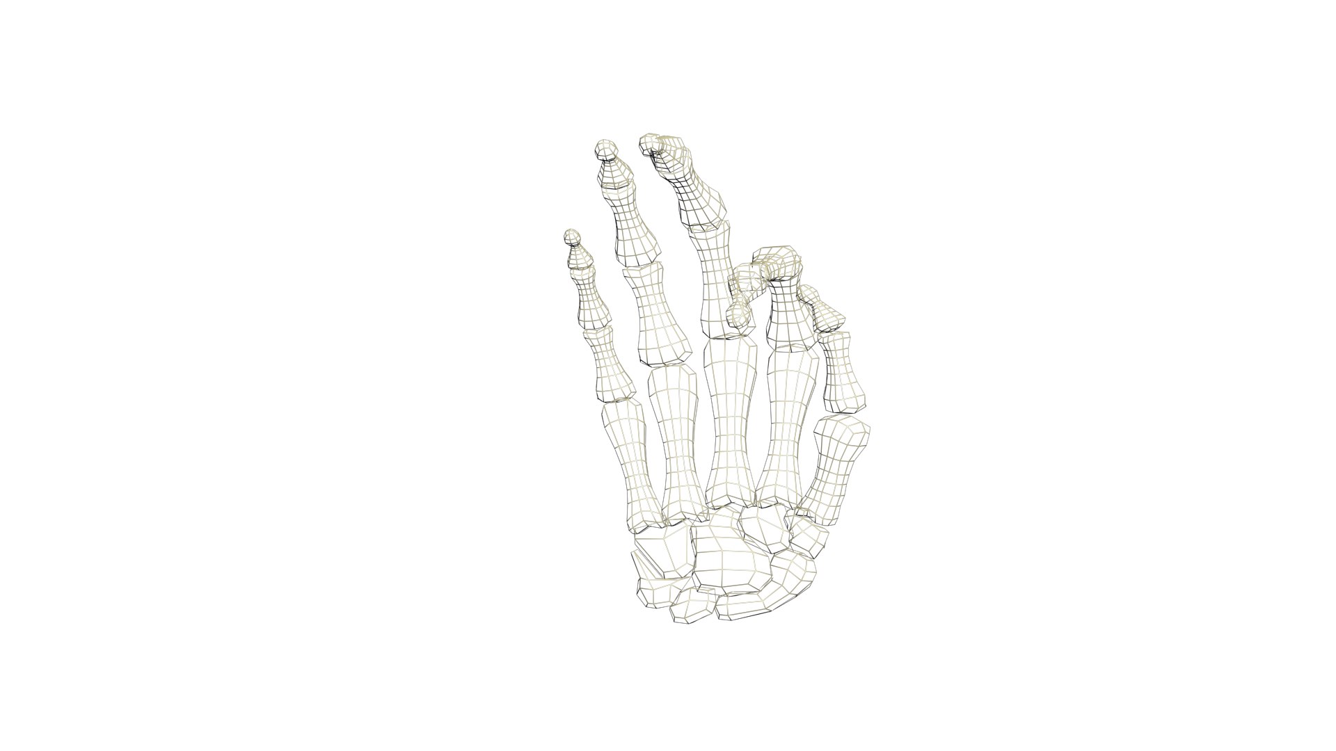 Realistic Rigged Skeleton Hand 3D Model - TurboSquid 2426853