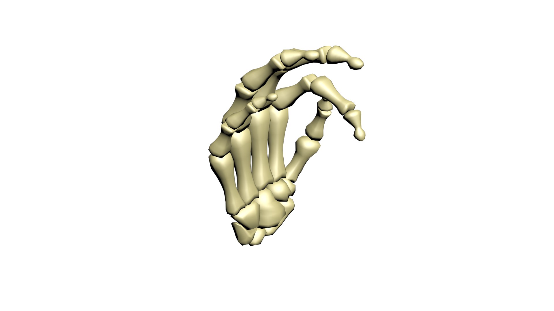 Realistic Rigged Skeleton Hand 3D Model - TurboSquid 2426853