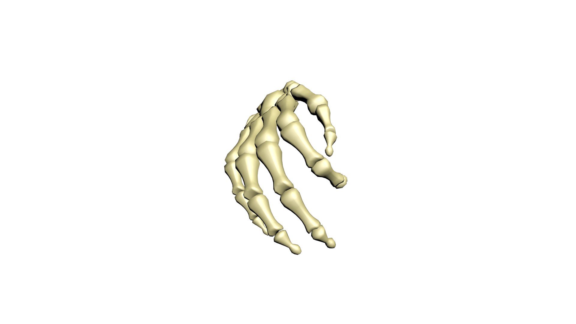 Realistic Rigged Skeleton Hand 3D Model - TurboSquid 2426853