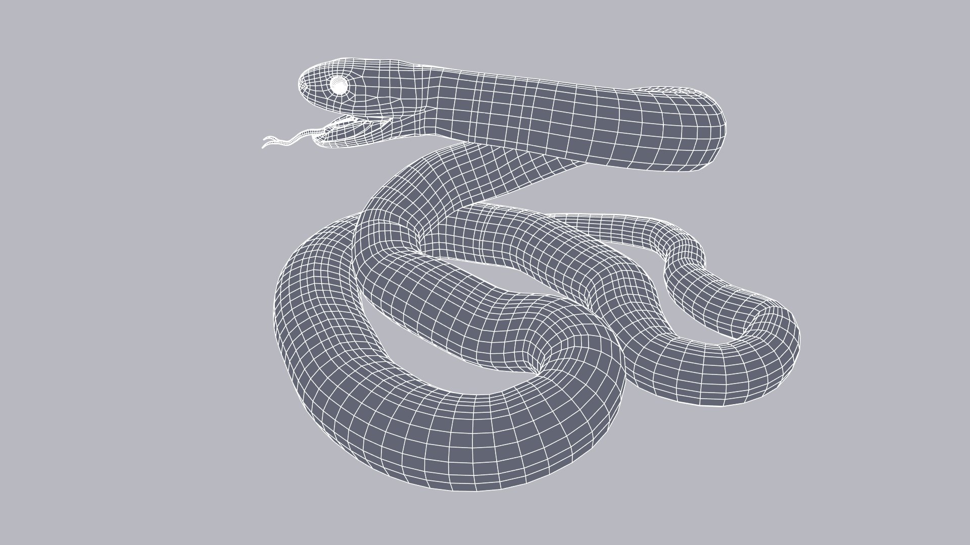 3D Eastern Coral Snake - Static Poses Model - TurboSquid 2020569