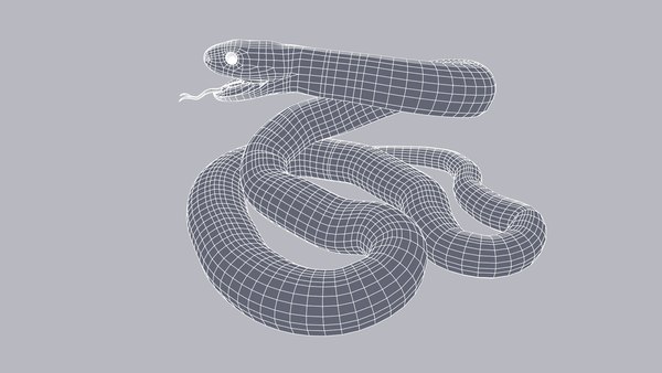 3D Eastern Coral Snake - Static Poses model - TurboSquid 2020569