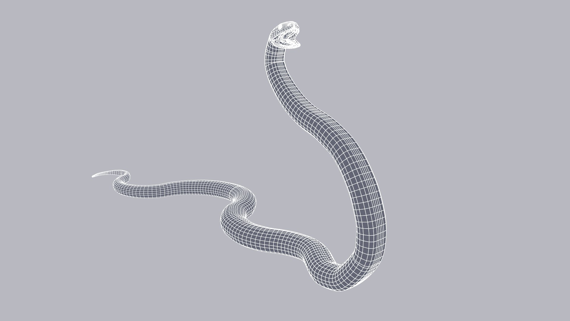 3D Eastern Coral Snake - Static Poses Model - TurboSquid 2020569