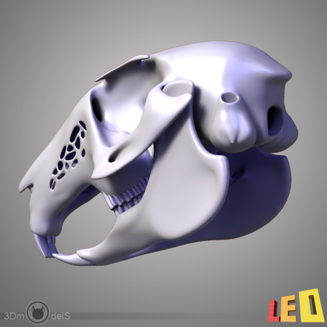 rabbit skeleton bones 3ds