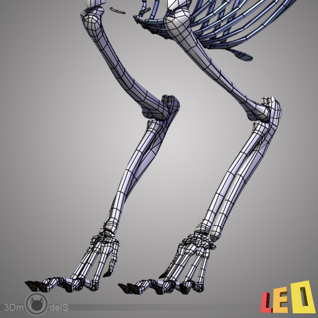 rabbit skeleton bones 3ds