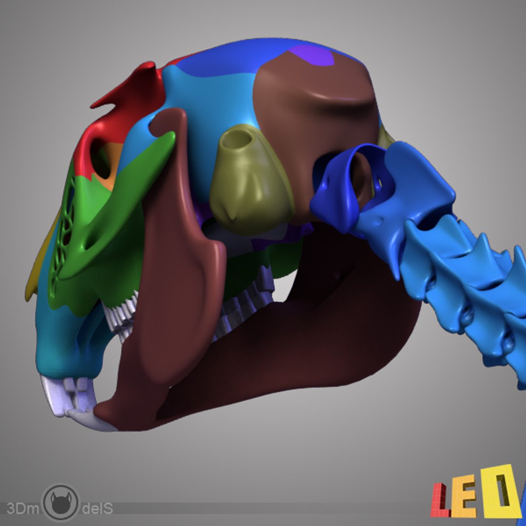 rabbit skeleton bones 3ds