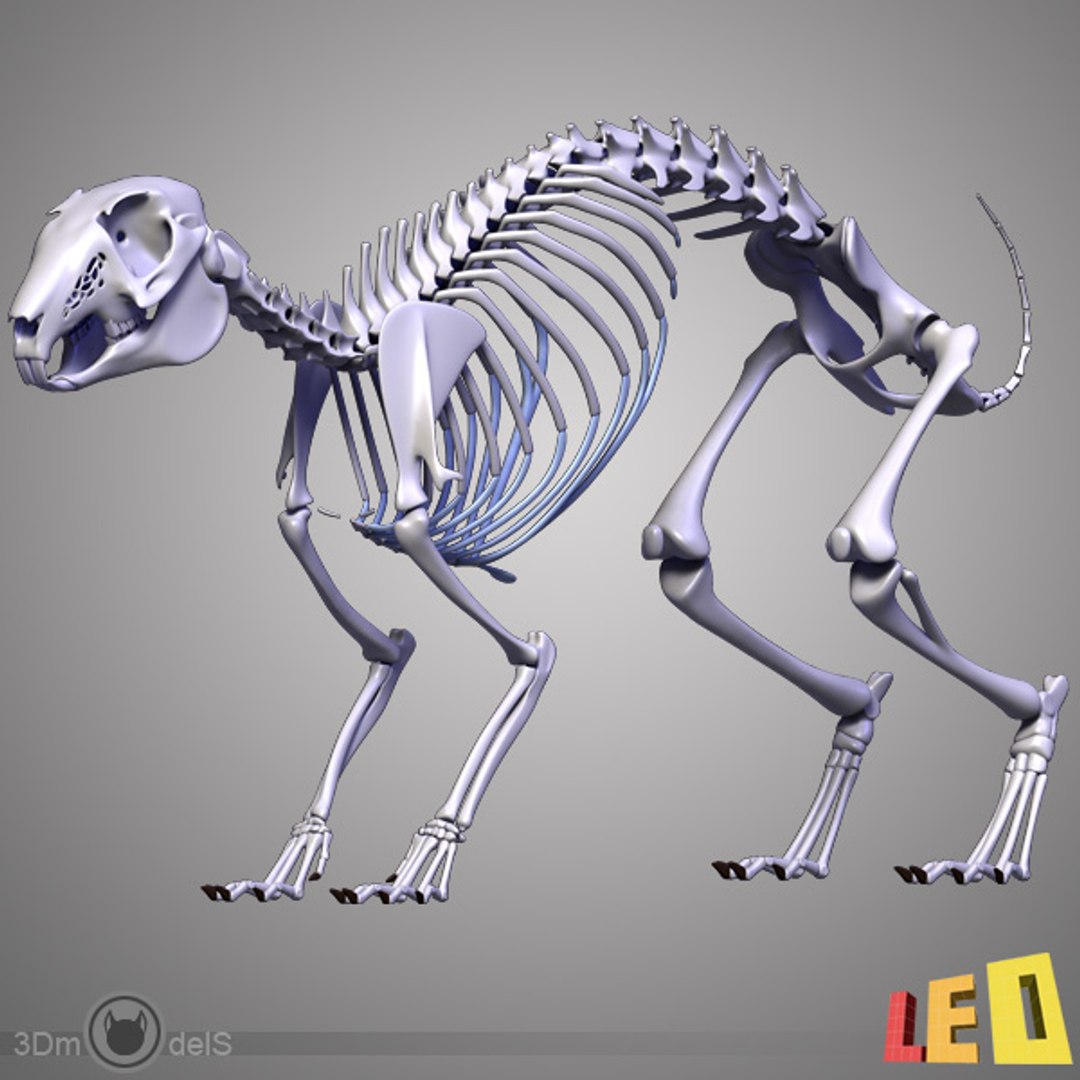 rabbit skeleton bones 3ds