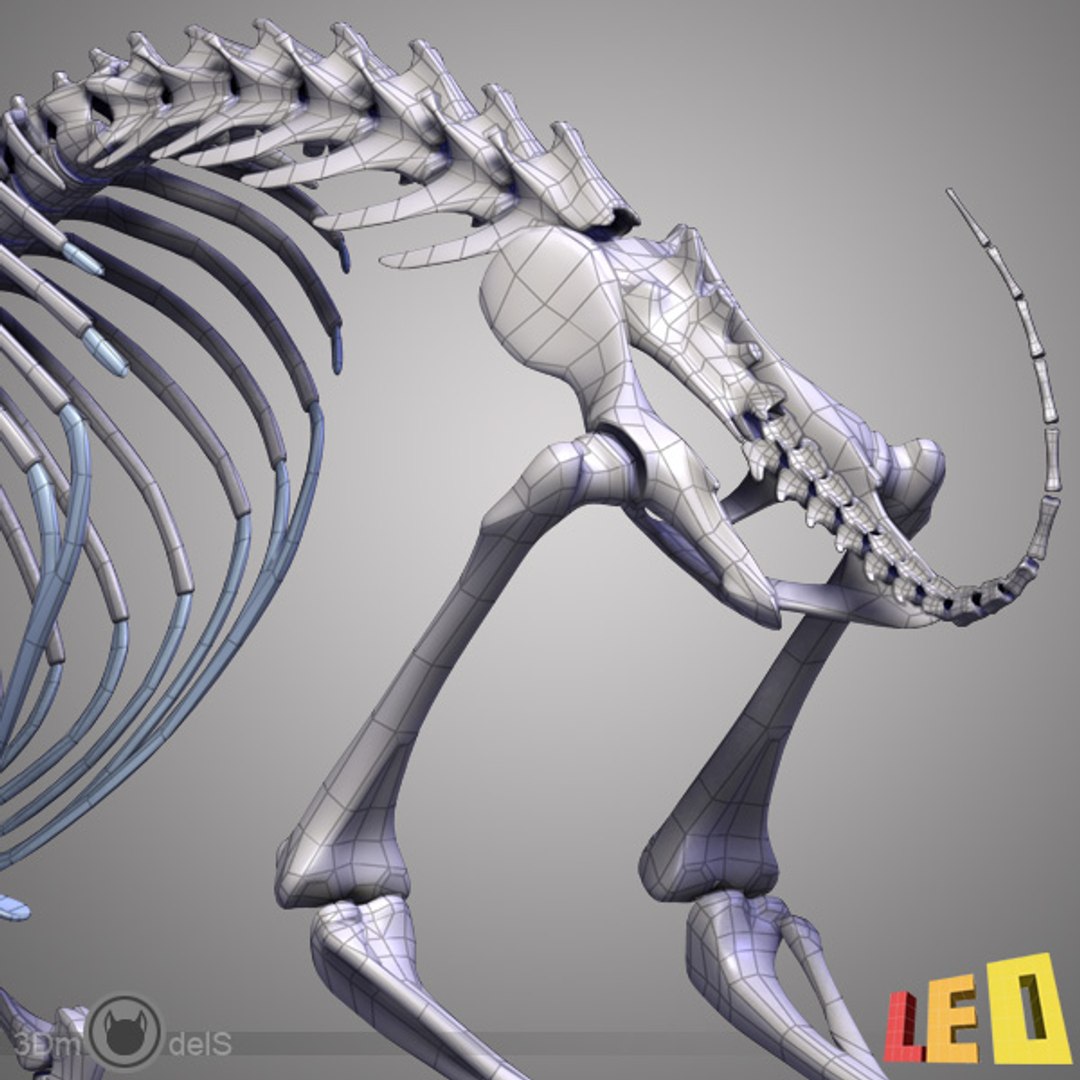 rabbit skeleton bones 3ds