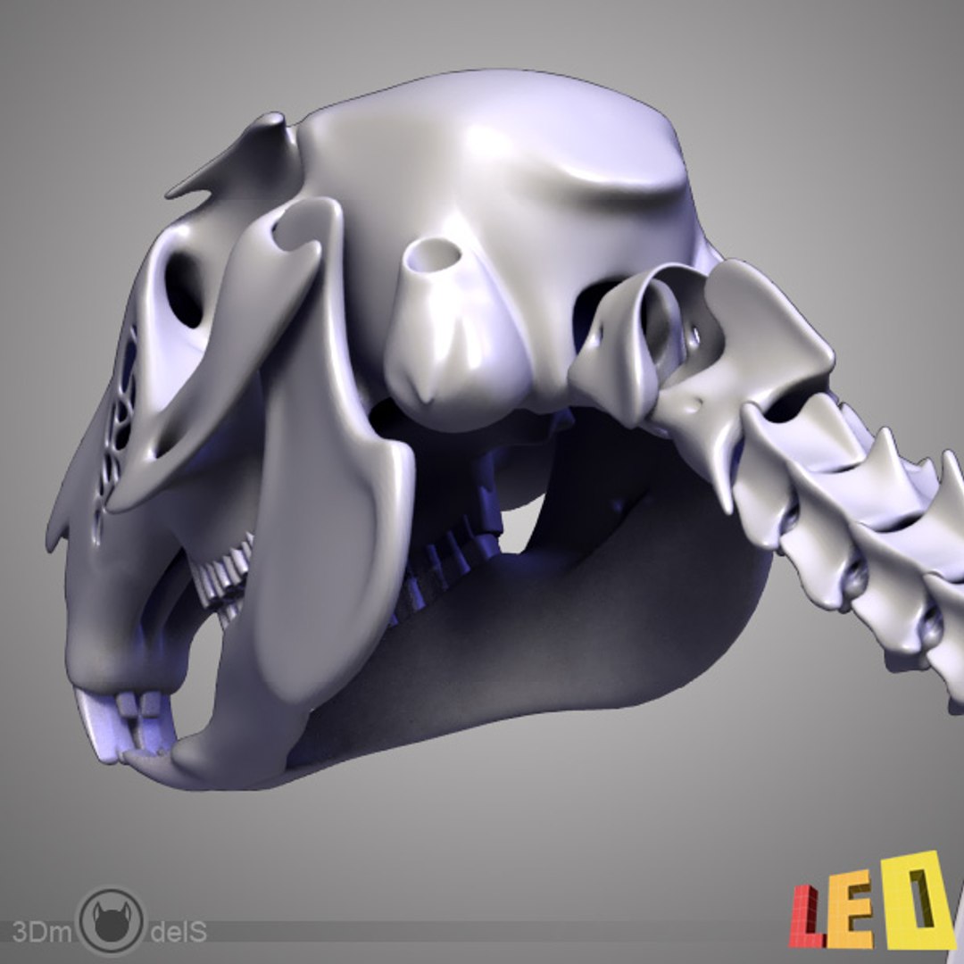rabbit skeleton bones 3ds
