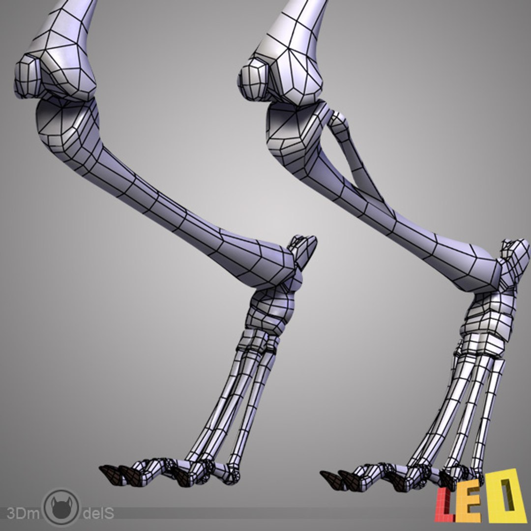 rabbit skeleton bones 3ds