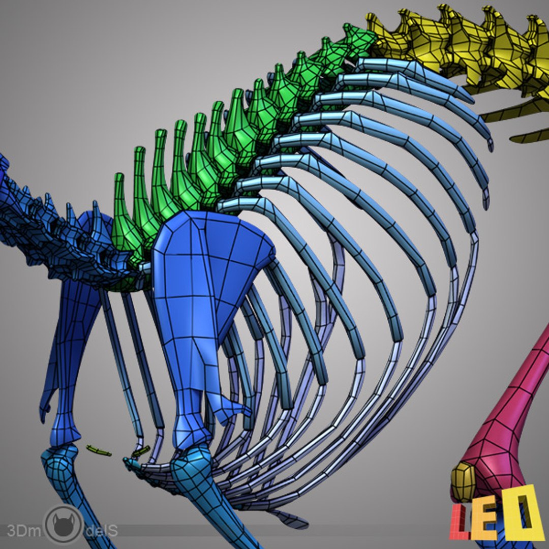 rabbit skeleton bones 3ds