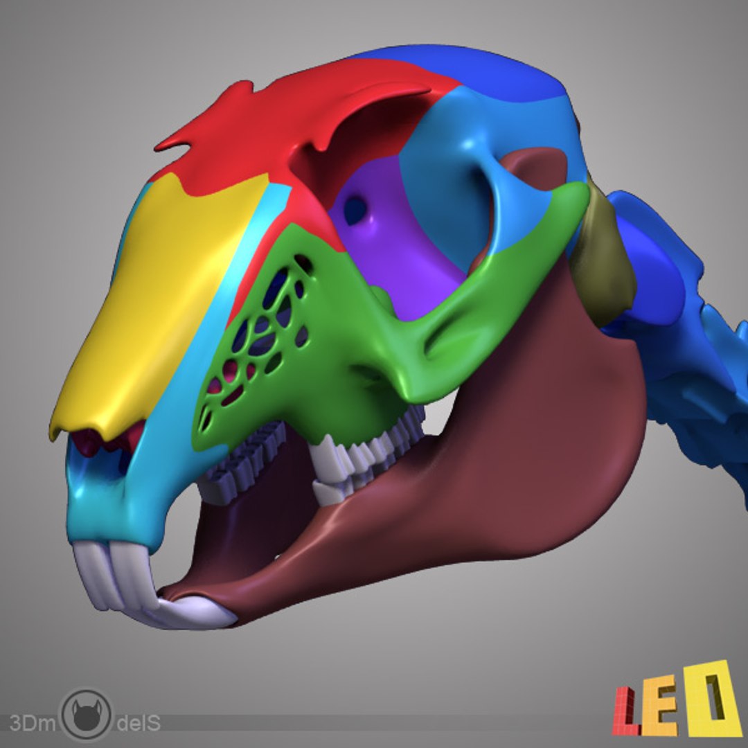 rabbit skeleton bones 3ds