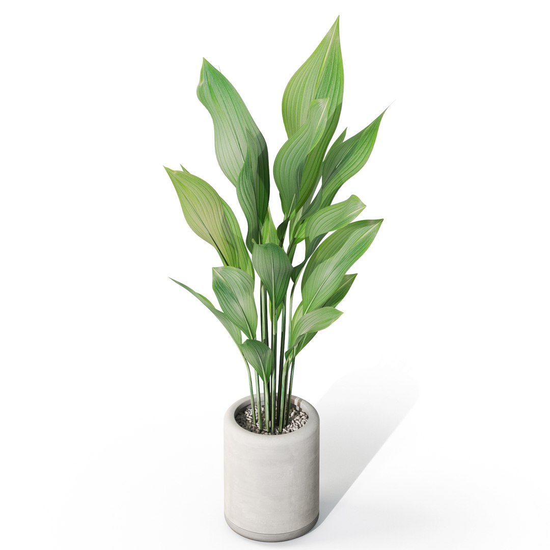 3D Plants Collection 1080 Model - TurboSquid 2214331
