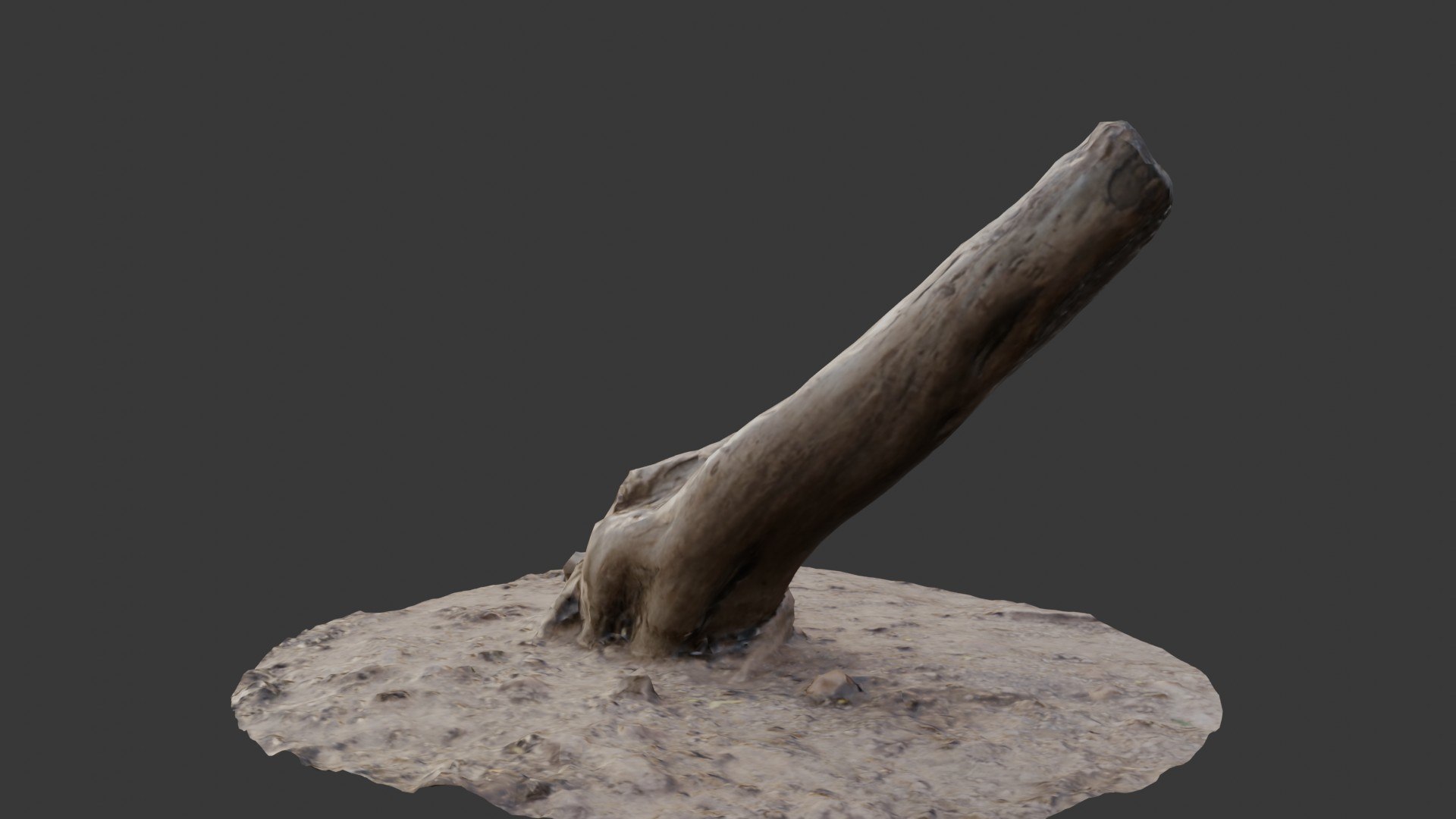 Leaning Tree Trunk Scan 3D Model - TurboSquid 2393376