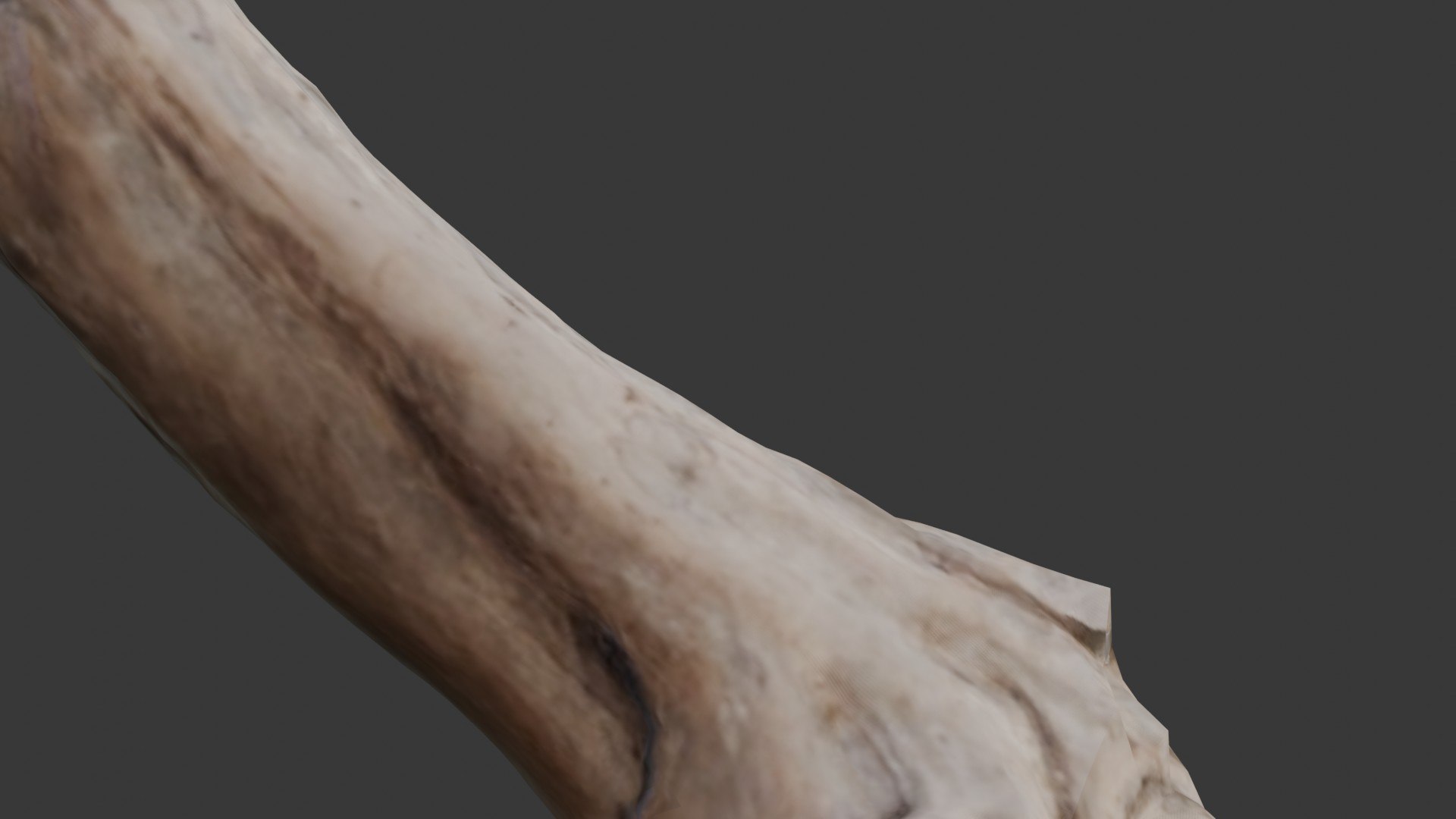 Leaning Tree Trunk Scan 3D Model - TurboSquid 2393376